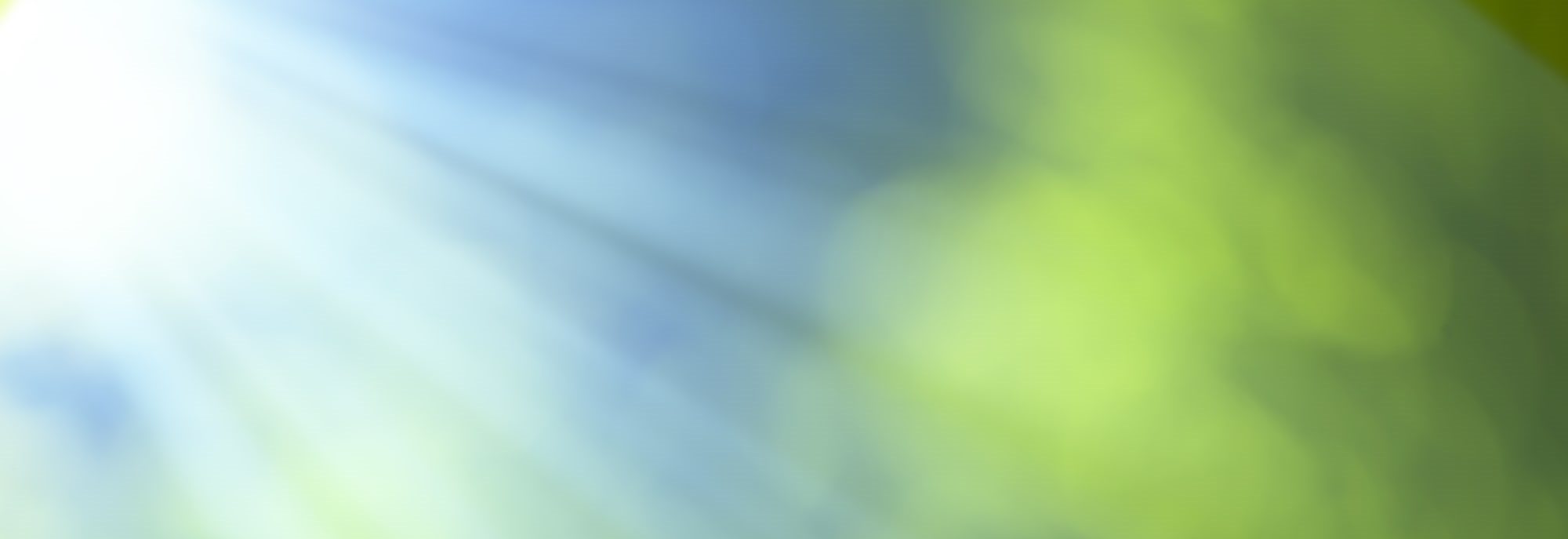 Single Item Collection in Surrey and South London